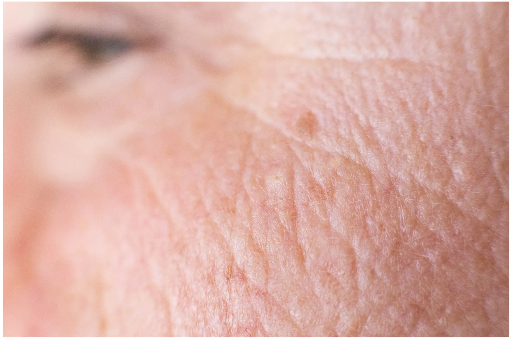 ULTIMATE HYDRATION AND RICH NOURISHMENT